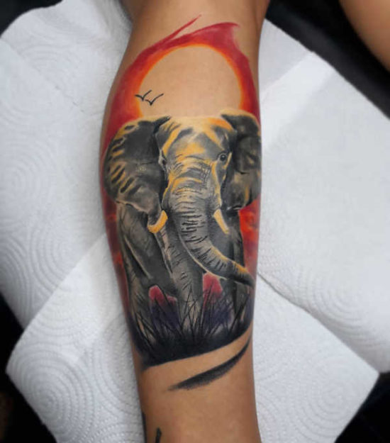 Tatuaggio Elefante: Significato, Ispirazioni e Foto - Tatuaggio.co